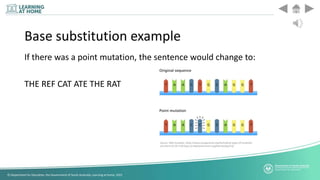 Grade 10 lesson about types of mutations | PPTX