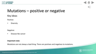 Grade 10 lesson about types of mutations | PPTX
