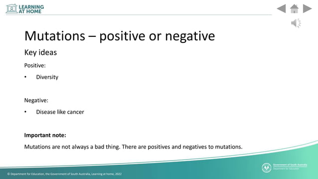 Grade 10 lesson about types of mutations | PPTX