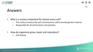 Grade 10 lesson about types of mutations | PPTX