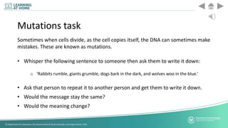 Grade 10 lesson about types of mutations | PPTX