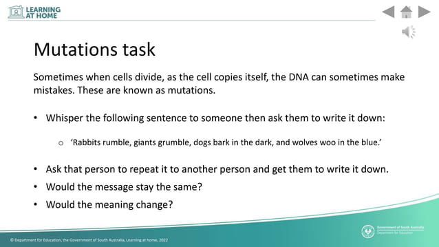 Grade 10 lesson about types of mutations | PPTX