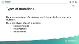 Grade 10 lesson about types of mutations | PPTX