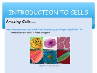 Yr 11 biol semester 1 - cells topic | PPT