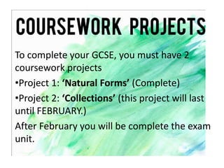 Yr 10 into 11 Collections Personal Investigation | PPT