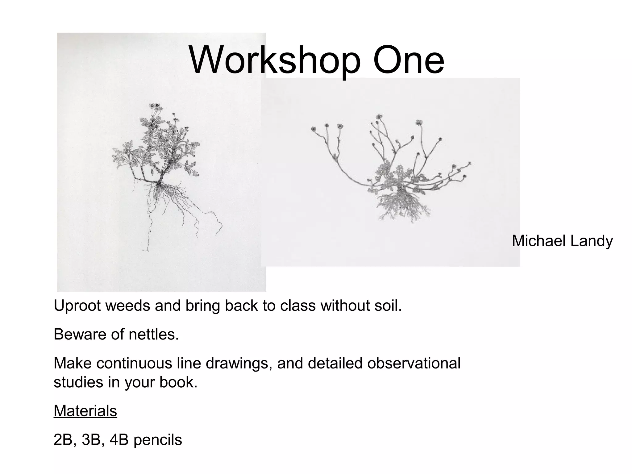 Yr13 growth and evolution | PPT