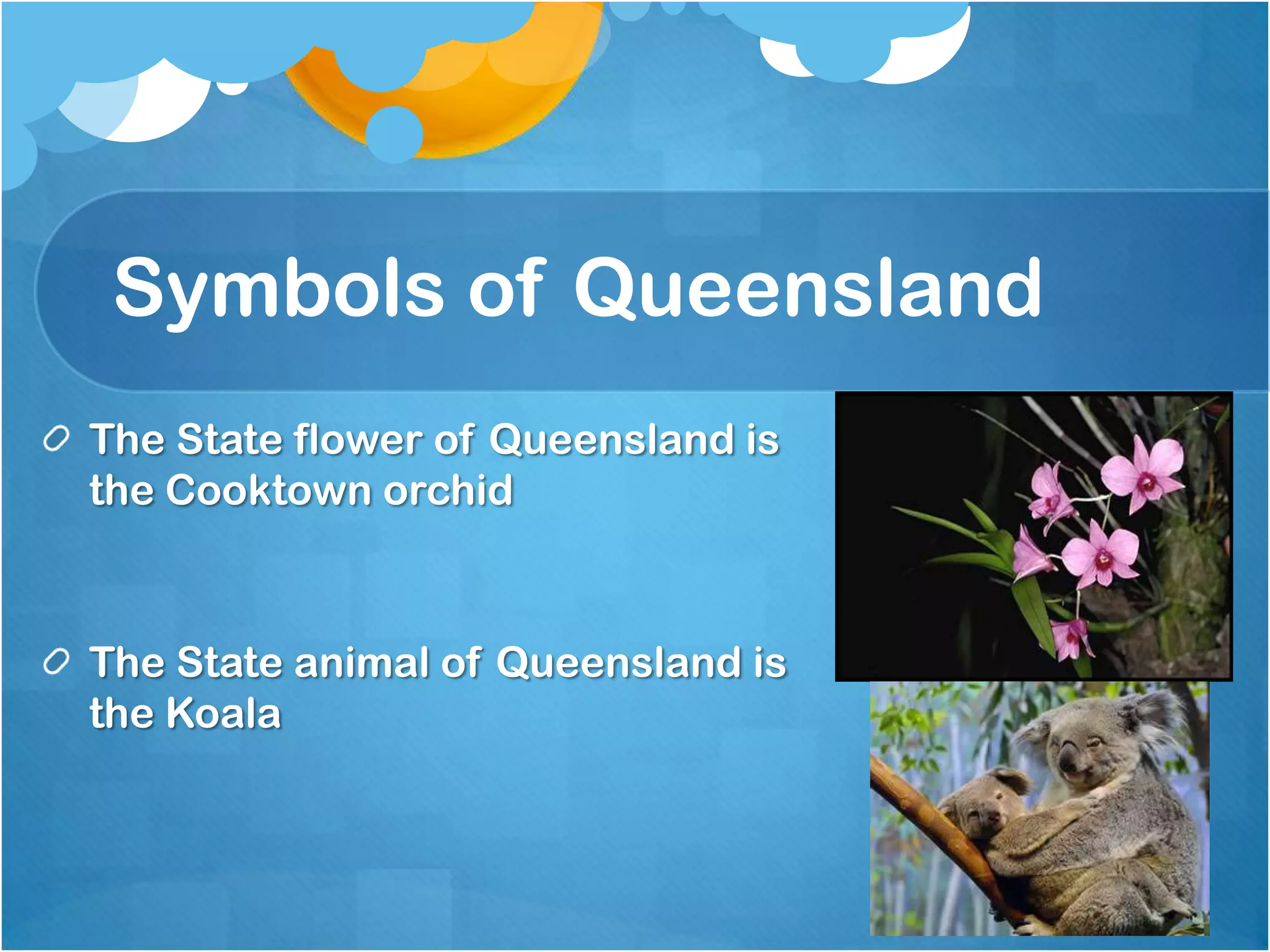 Yr 2 sose qld mapping presentation week 3 | PPTX