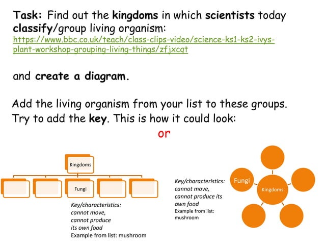 classification for grade 6 students or upper | PDF