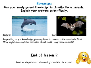 classification for grade 6 students or upper | PDF