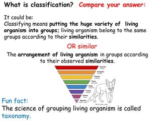 classification for grade 6 students or upper | PDF