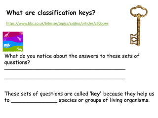 classification for grade 6 students or upper | PDF