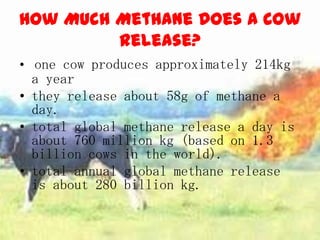 cow methane project leif | PPTX