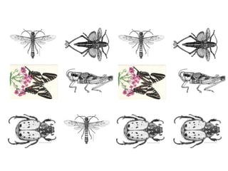 Yr 7 insect clay tiles2 | PPT