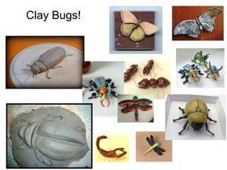 Yr 7 insect clay tiles2 | PPT
