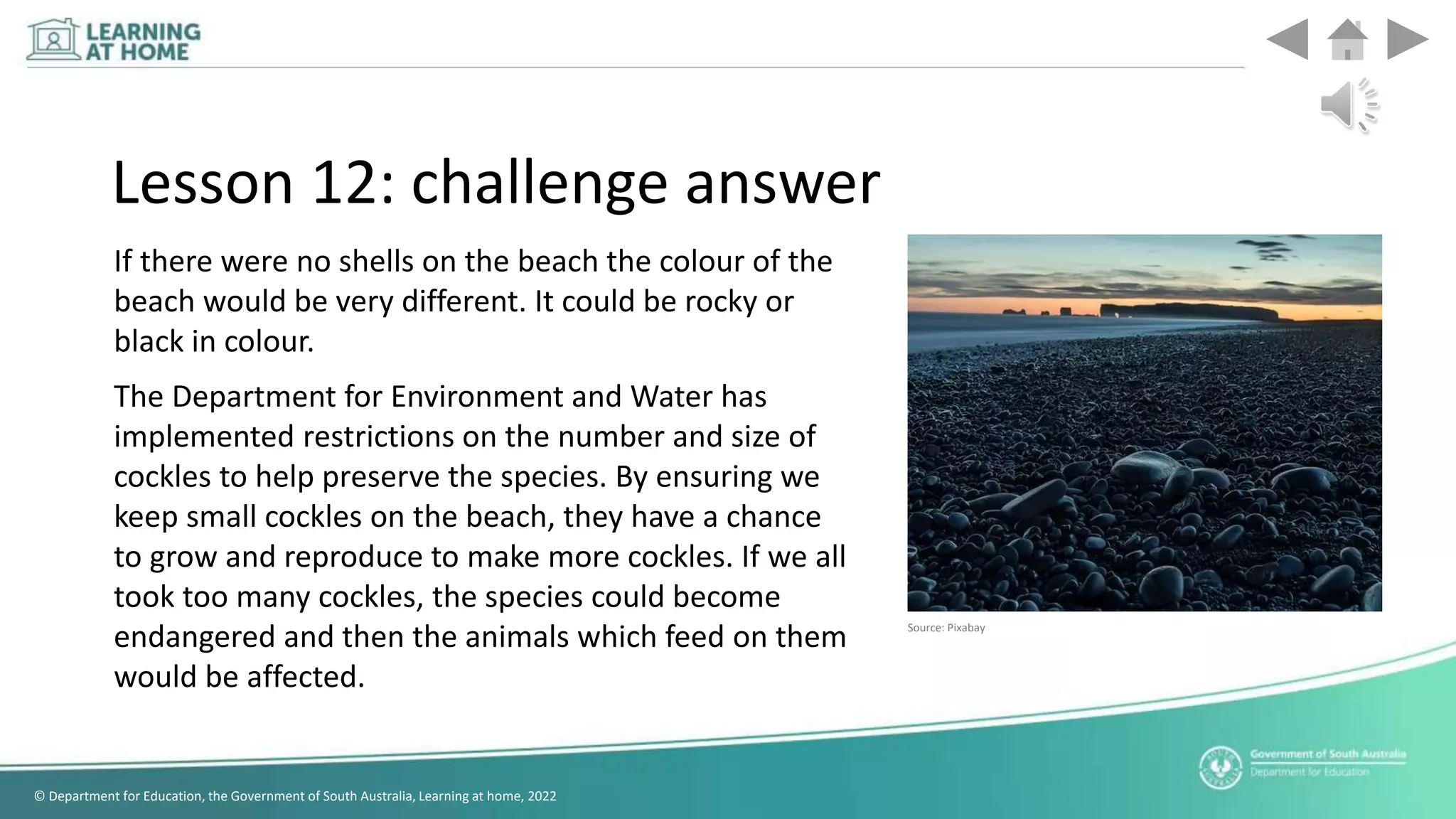 yr7_science_lesson13.pptx