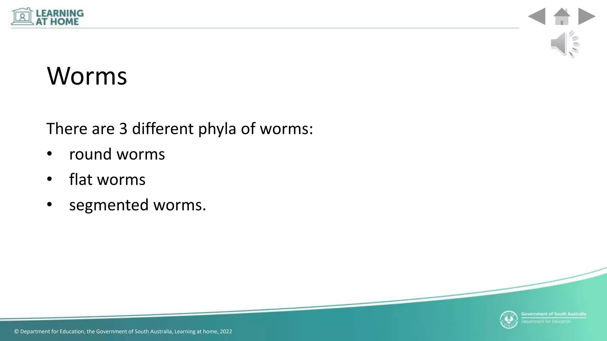 yr7_science_lesson13.pptx