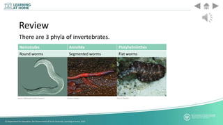 yr7_science_lesson13.pptx
