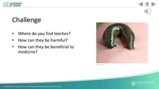 yr7_science_lesson13.pptx