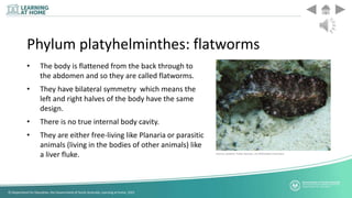 yr7_science_lesson13.pptx