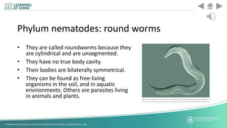 yr7_science_lesson13.pptx