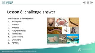 Learning at Home - Yr 7 Science Lesson.pptx