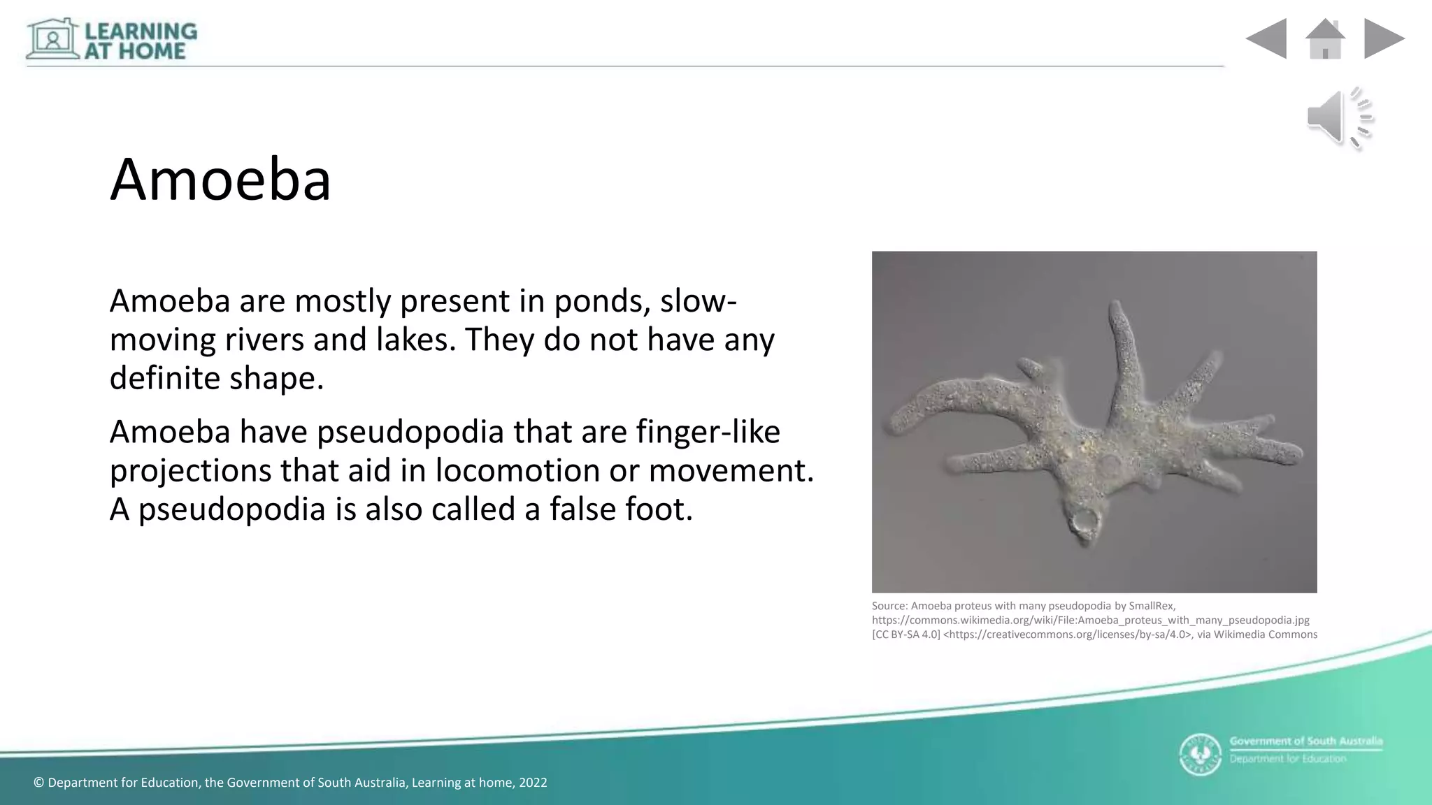 yr8_science_lesson9.pptx