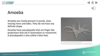 yr8_science_lesson9.pptx