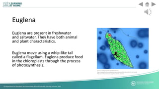 yr8_science_lesson9.pptx