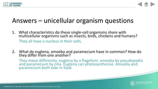 yr8_science_lesson9.pptx
