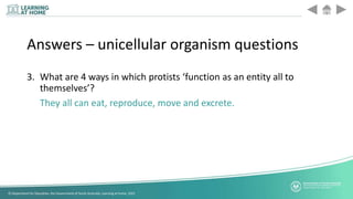 yr8_science_lesson9.pptx