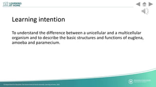 yr8_science_lesson9.pptx