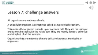 yr8_science_lesson9.pptx