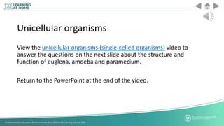 yr8_science_lesson9.pptx