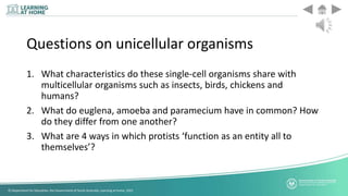 yr8_science_lesson9.pptx