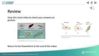 yr8_science_lesson9.pptx