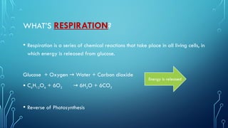 Lower secondary Science Year 9 - Photosynthesis.pptx