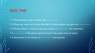 Lower secondary Science Year 9 - Photosynthesis.pptx
