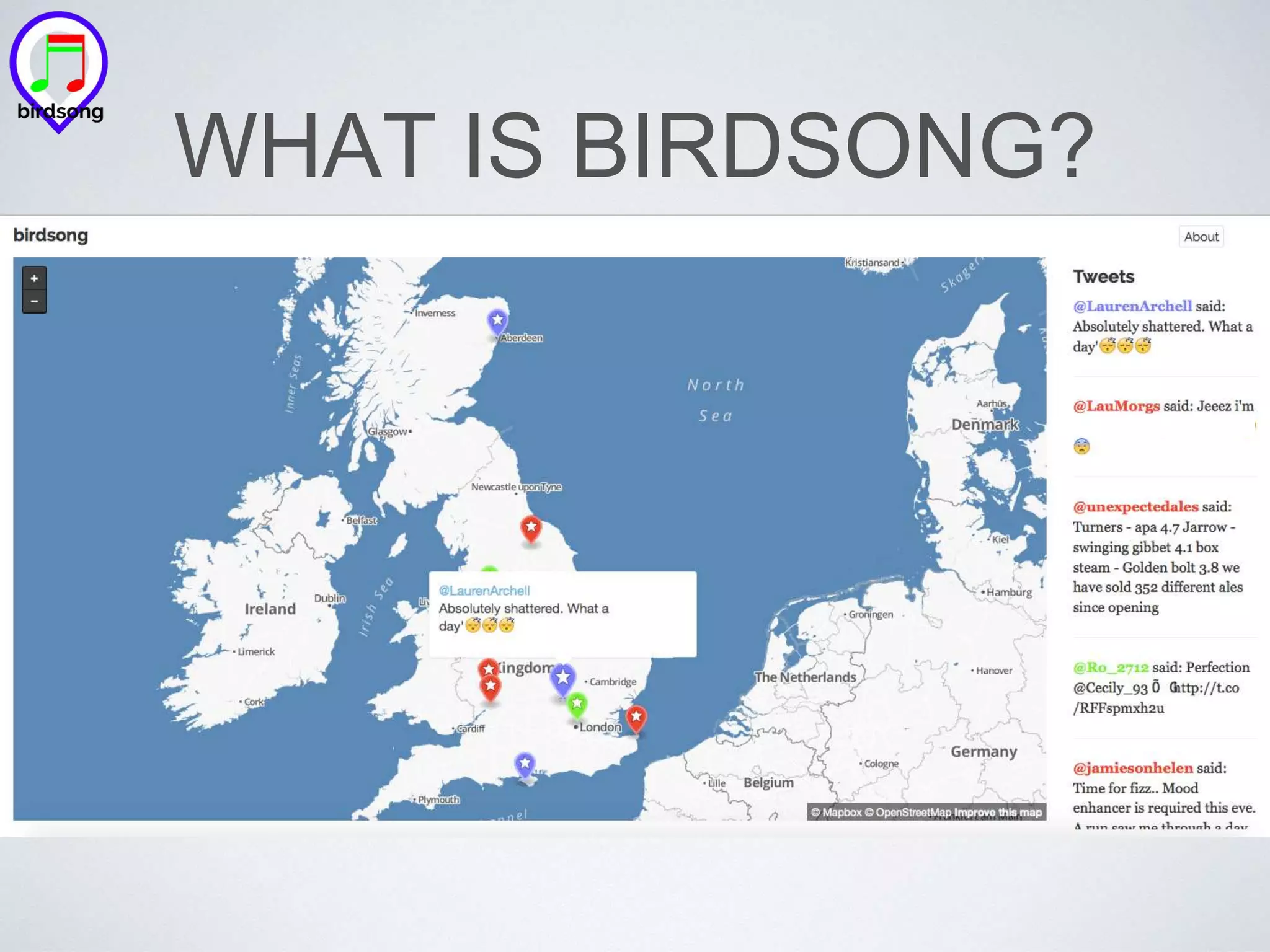 birdsong presentation | PPT