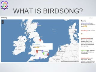 birdsong presentation | PPT