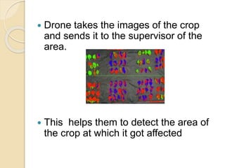 Drones for early pest detection | PPTX