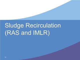YSI Activated Sludge - 3 Things You Need to Know to Improve Process ...