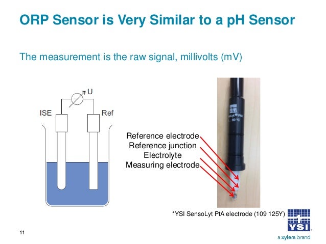 Biological Nutrient Removal Applications for Monitoring ORP | YSI