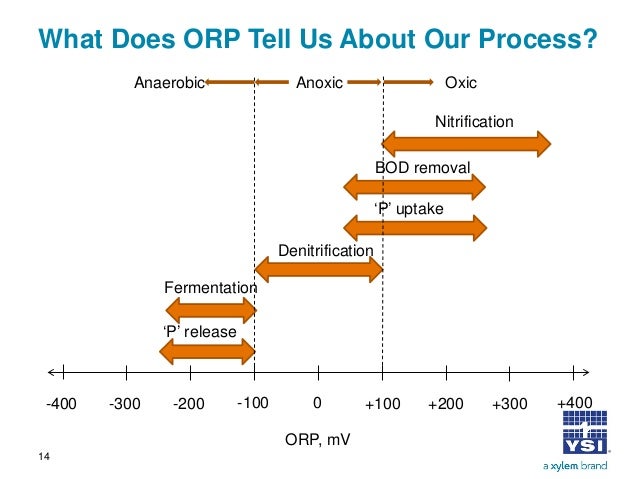 Biological Nutrient Removal Applications for Monitoring ORP | YSI