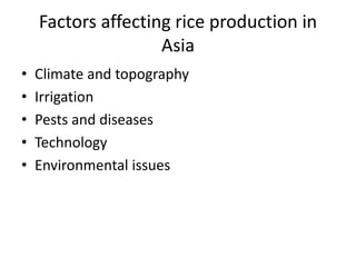 Why is rice an important food crop? | PPTX