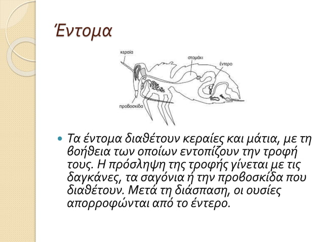 ΠΕΨΗ - ΑΣΠΟΝΔYΛΑ | PPTX