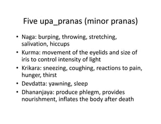 Yoga Sutra - Pranayama part 1 | PDF