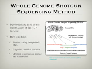 YSP Week 3 HGP | PPT