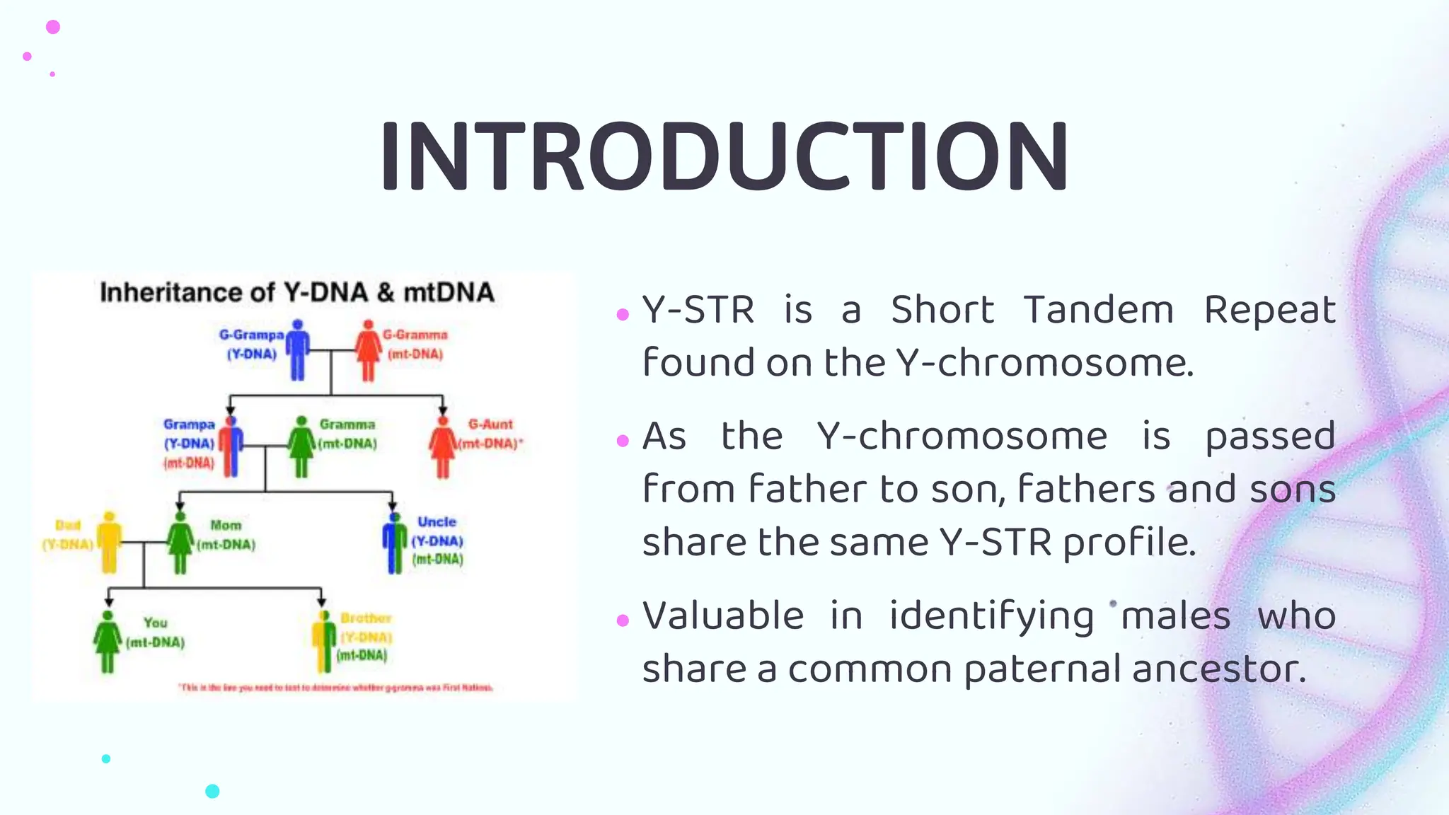 YSTR (Forensic Biology and genetics). ppt | PPTX