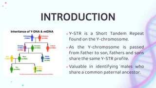 YSTR (Forensic Biology and genetics). ppt | PPTX