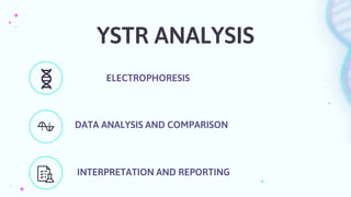 YSTR (Forensic Biology and genetics). ppt | PPTX